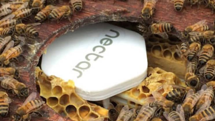 AgTech IoT Connectivity for M2M Devices and Sensors | Soracom UK