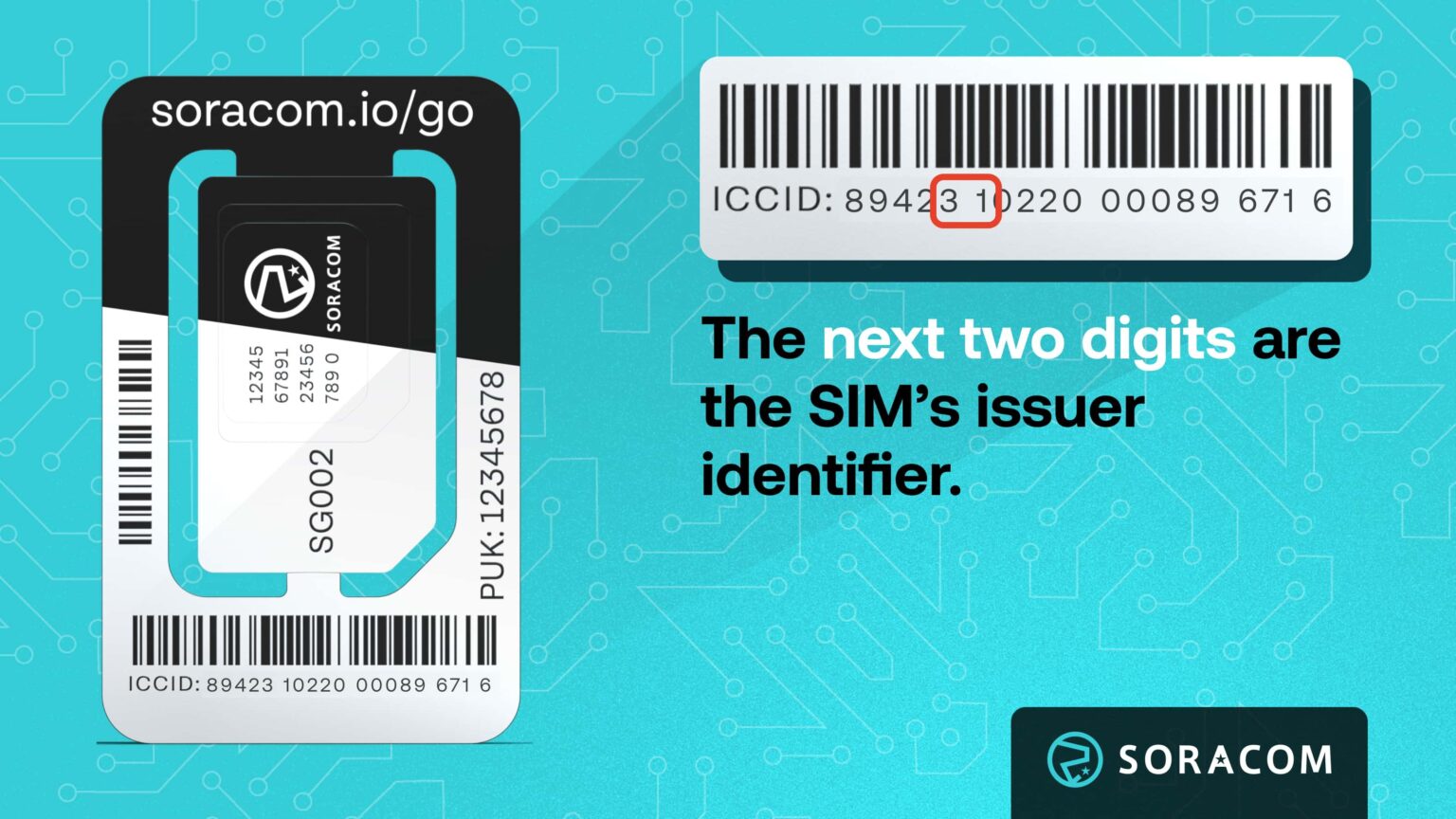 What Is an ICCID Number? | A Guide To SIM Identification