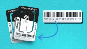 What Is an ICCID Number? | A Guide To SIM Identification